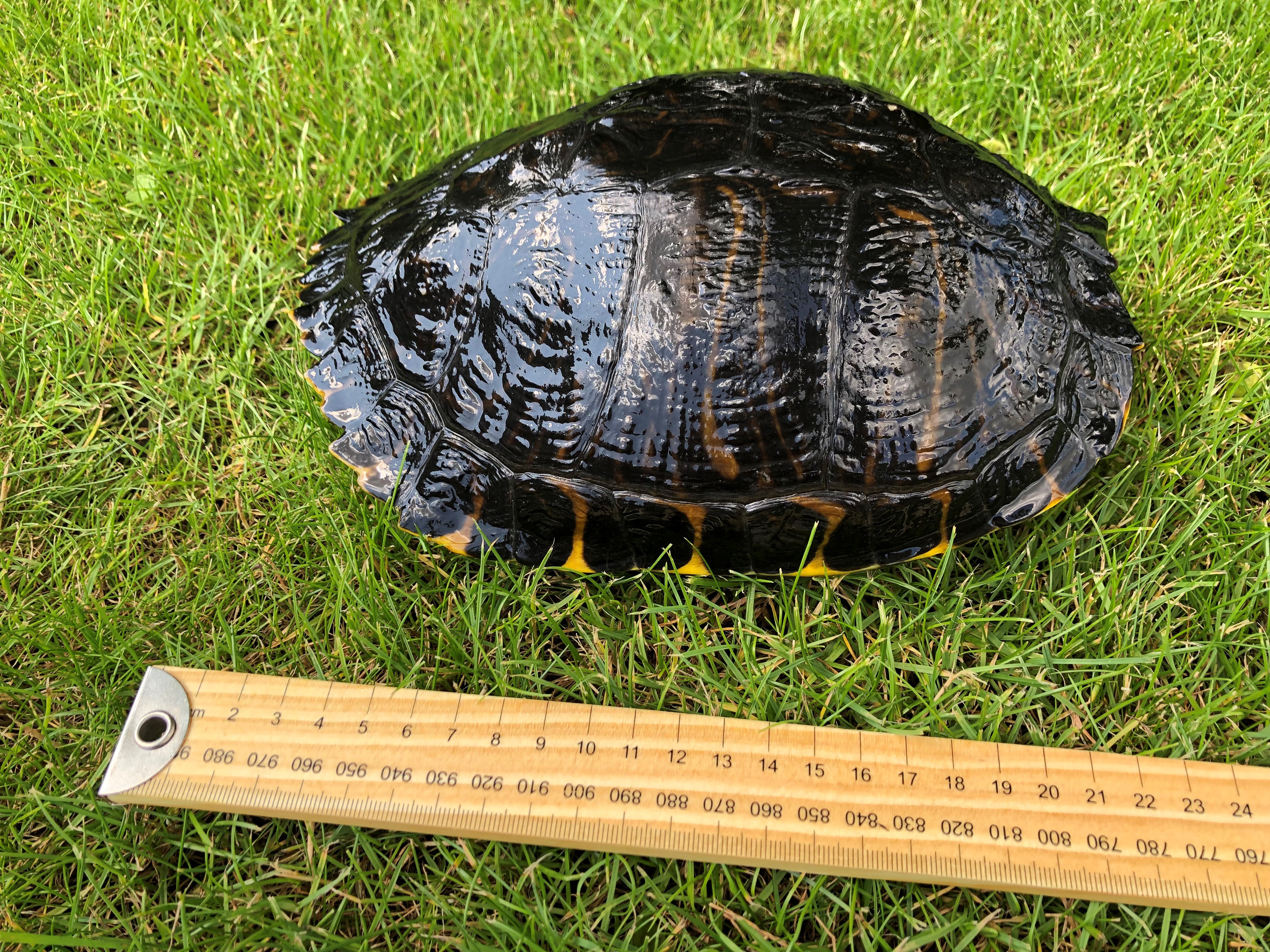 Park Projects | Buckinghamshire Country Parks