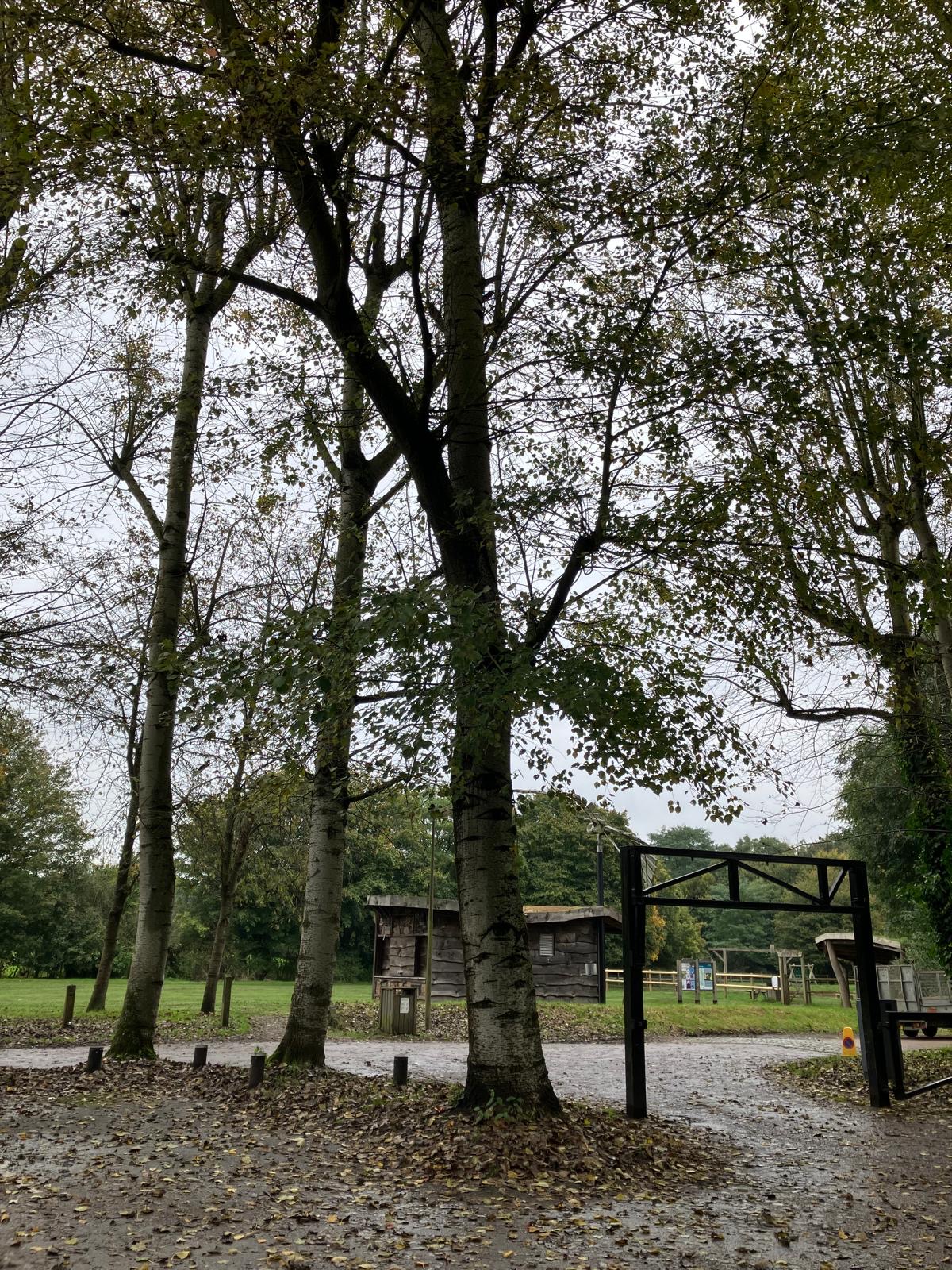 Park Projects | Buckinghamshire Country Parks